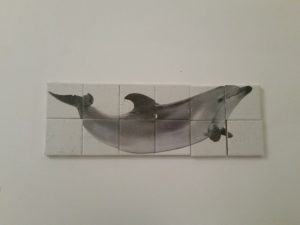 Custom Printed Swimming Pool Tiles - Permanent Custom Tiles - Pictured Tile